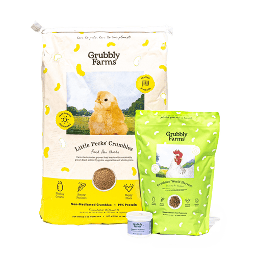 Farm Fresh Chicken Feed & Treats with Grub Protein | Grubbly Farms