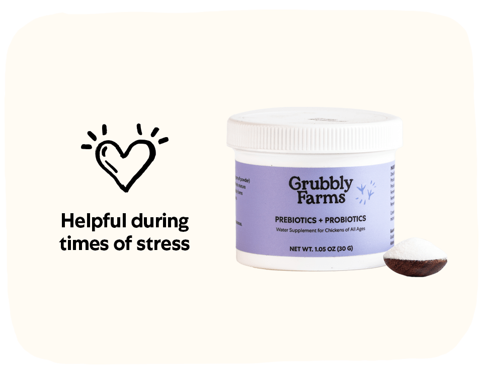 Prebiotic + Probiotic Supplement for Chickens | Grubbly Farms