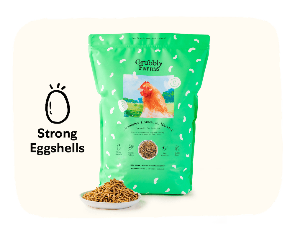 Grubblies: Dried Grubs for Chickens | High Protein Chicken Treats