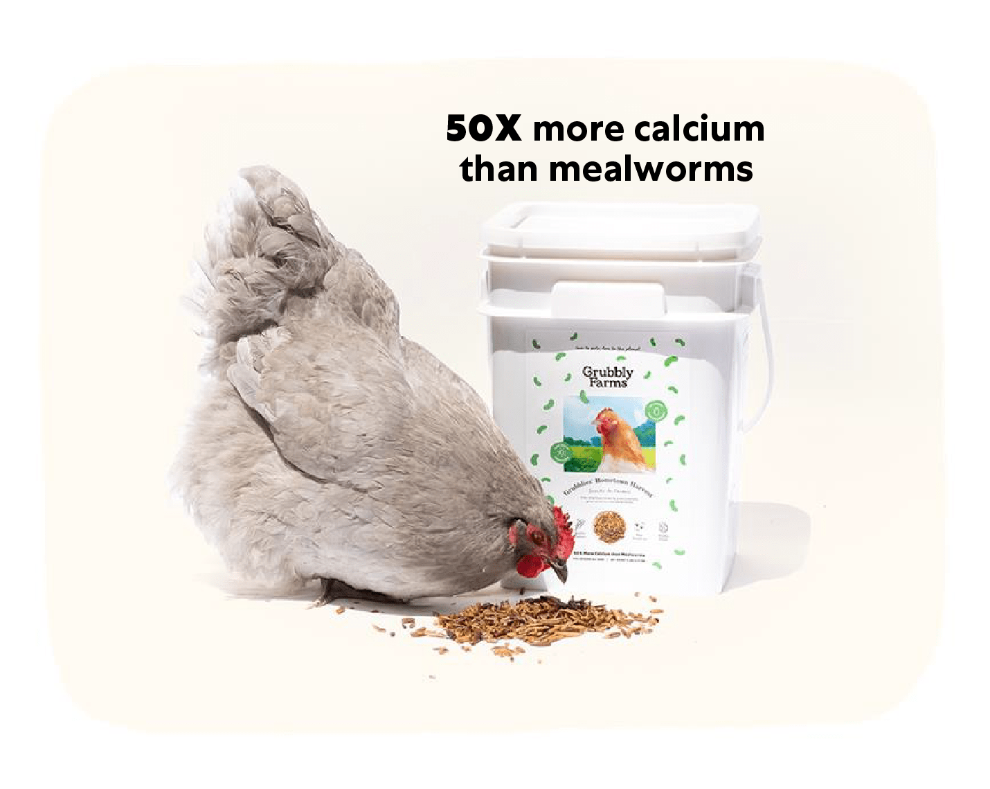 Grubblies: Dried Grubs for Chickens | High Protein Chicken Treats