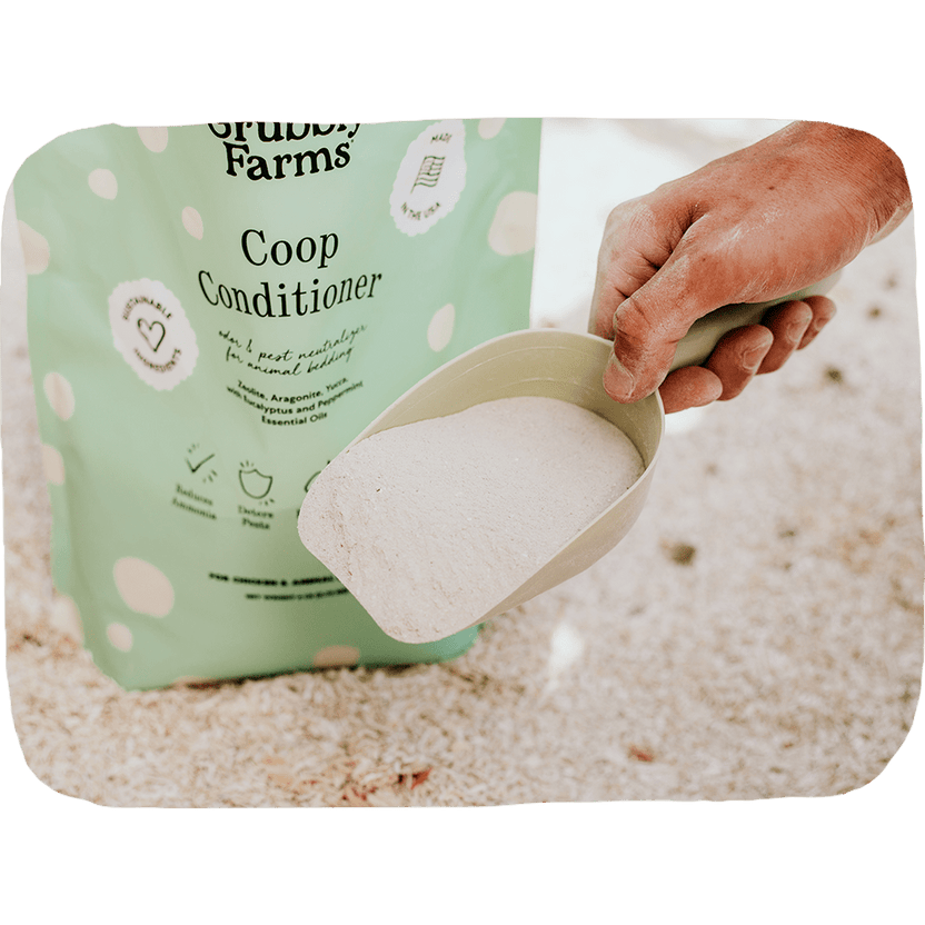 Coop Conditioner: Chicken Coop Odor Eliminator | Grubbly Farms