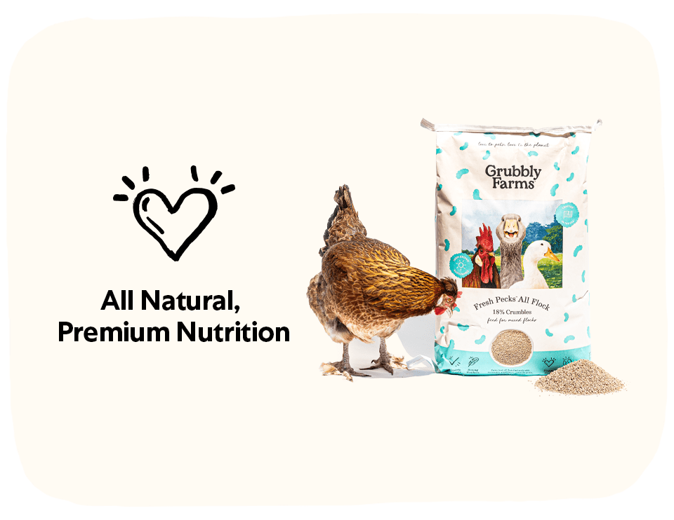 Fresh Pecks All Flock