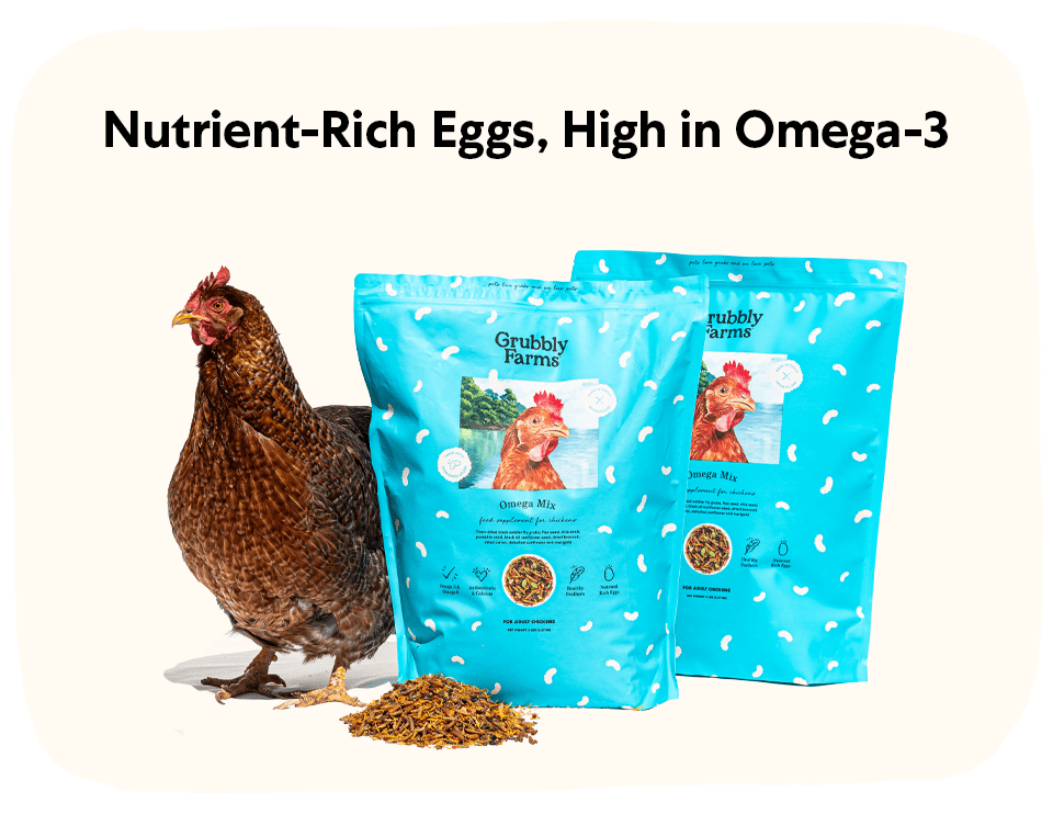 Omega Mix Chicken Feed Topper & Treat | Grubbly Farms