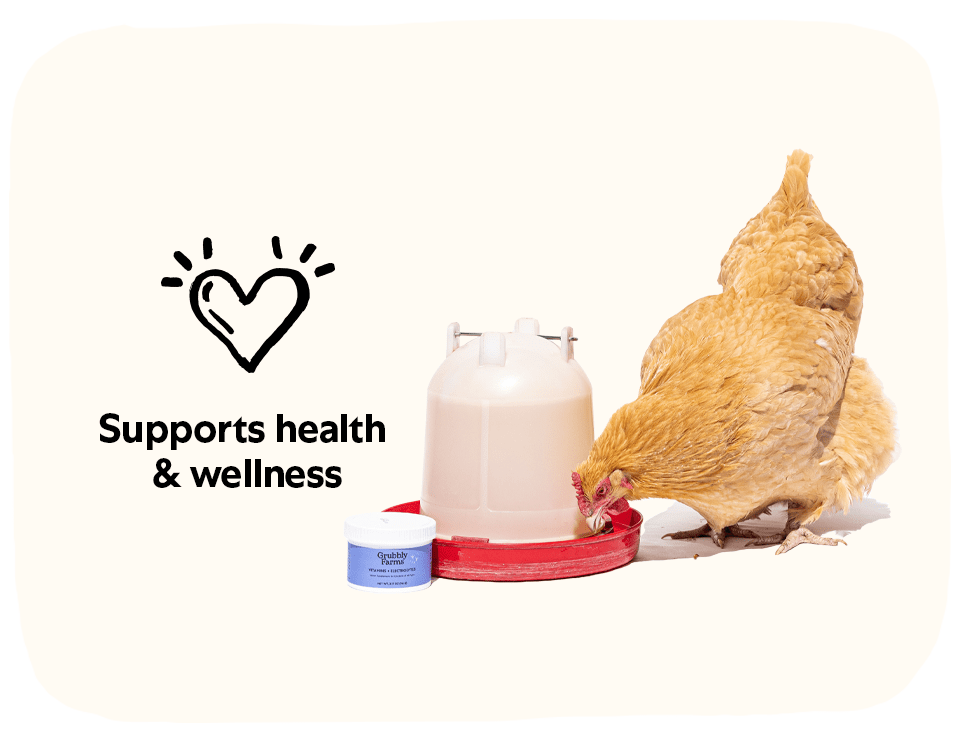 Chicken Vitamin & Electrolyte Supplement (Water Additive) | Grubbly Farms