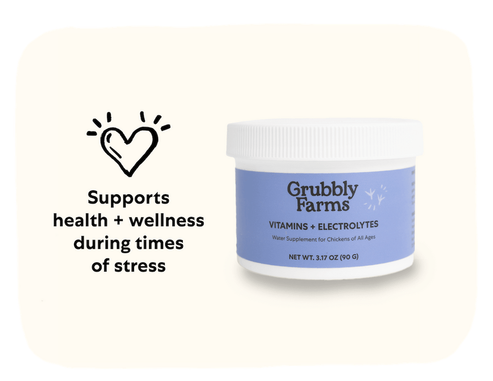 Chicken Vitamin & Electrolyte Supplement (Water Additive) | Grubbly Farms
