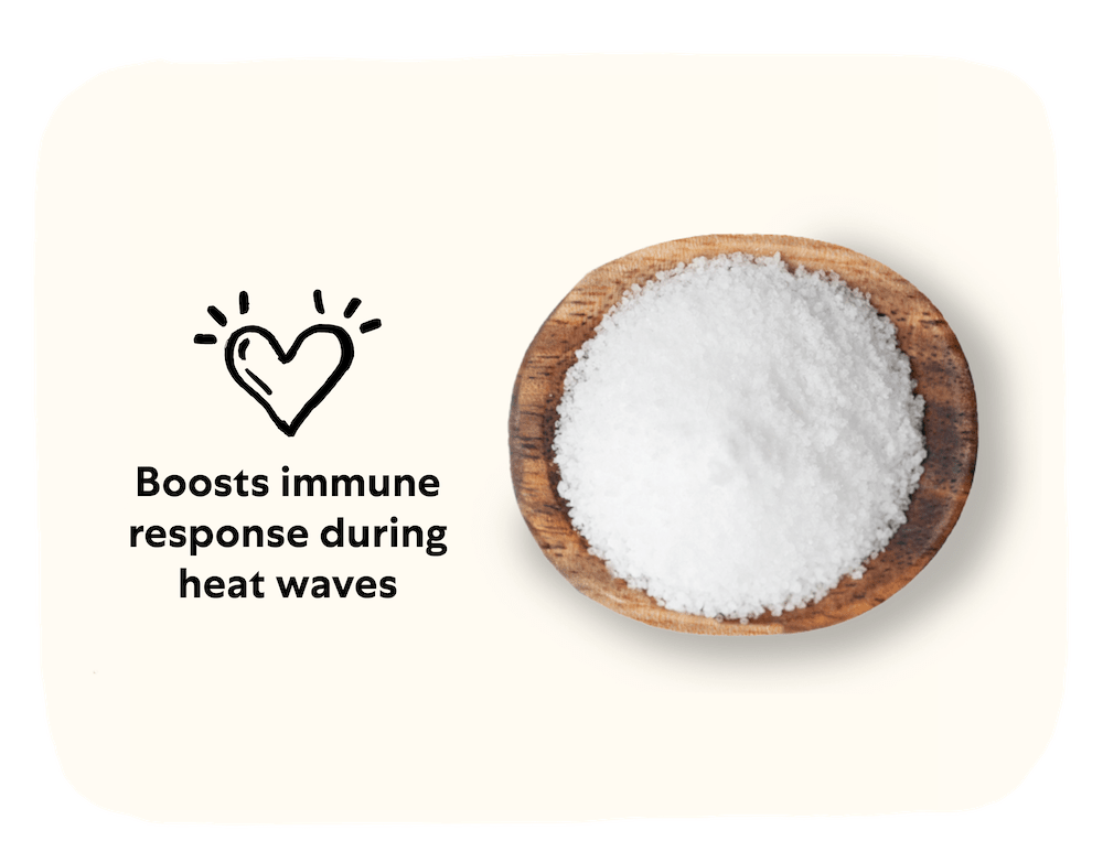 Chicken Vitamin & Electrolyte Supplement (Water Additive) | Grubbly Farms